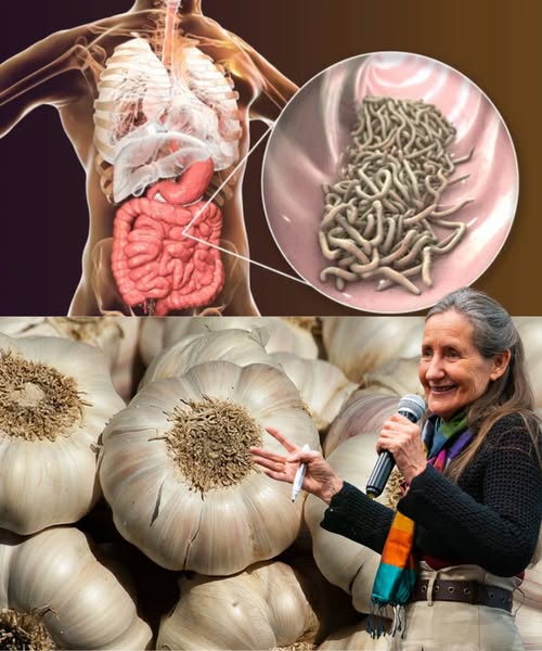 Garlic’s Hidden Superpowers: 10 Mind-Blowing Benefits – hopemakers