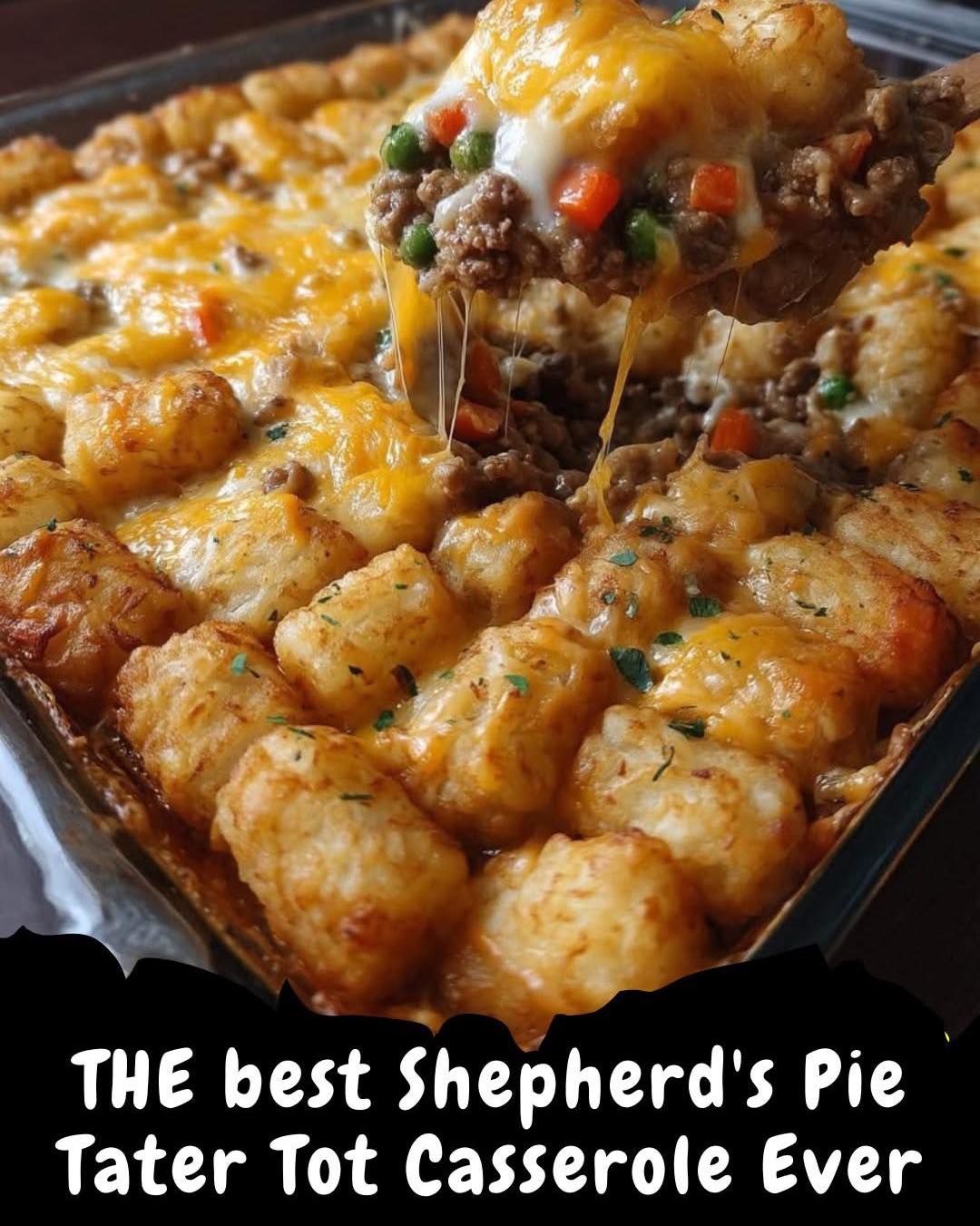 Shepherd’s Pie Tater Tot Casserole – hopemakers