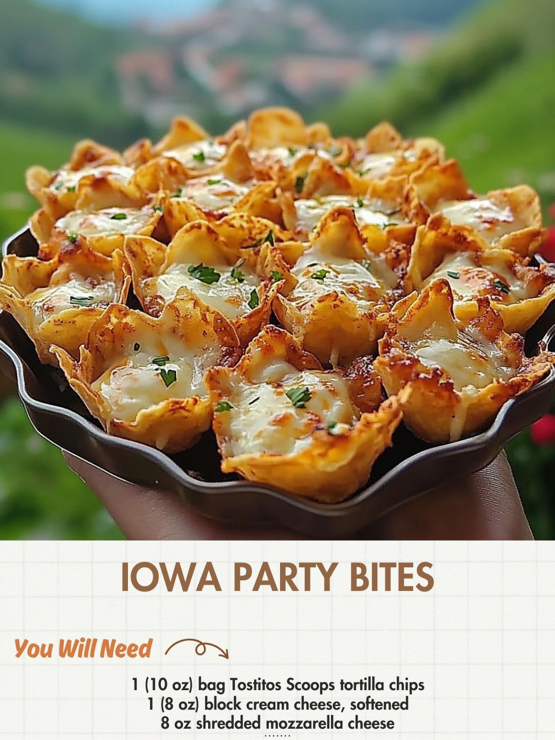 Iowa Party Bites recipe – hopemakers