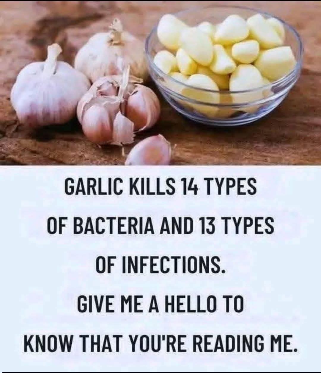 GARLIC KILLS 14 TYPES OF BACTERIA AND 13 TYPES OF INFECTIONS – hopemakers